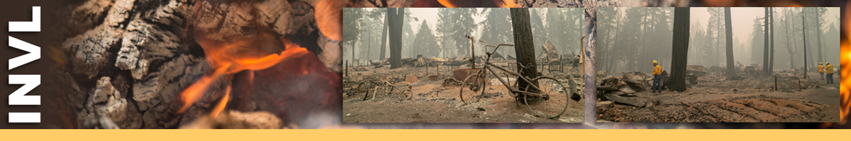 Wildland Fire Investigation Team Leader | NWCG