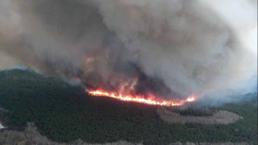 Staff Ride to the Mack Lake Fire | NWCG