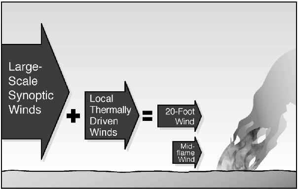 Weather: Estimating Winds for Fire Behavior | NWCG